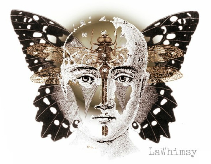 Word Nerd: Capricious – Lawhimsy