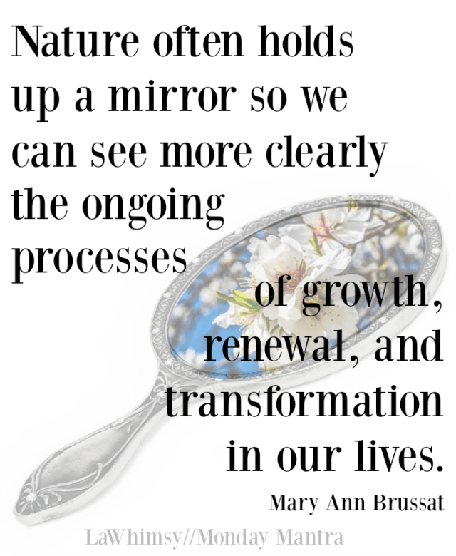 Mirror View Quotes 115 Best Look Into The Mirror Quotes (with