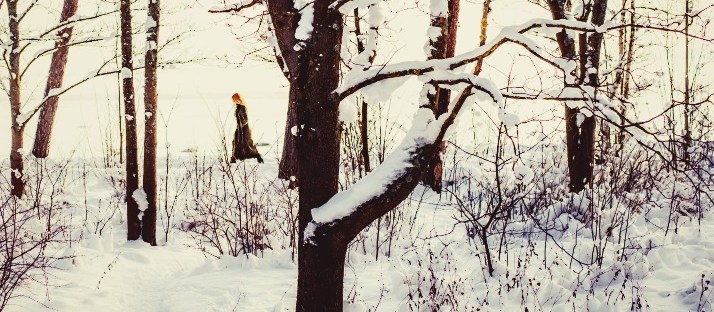 Word Nerd: Hiemal – Lawhimsy