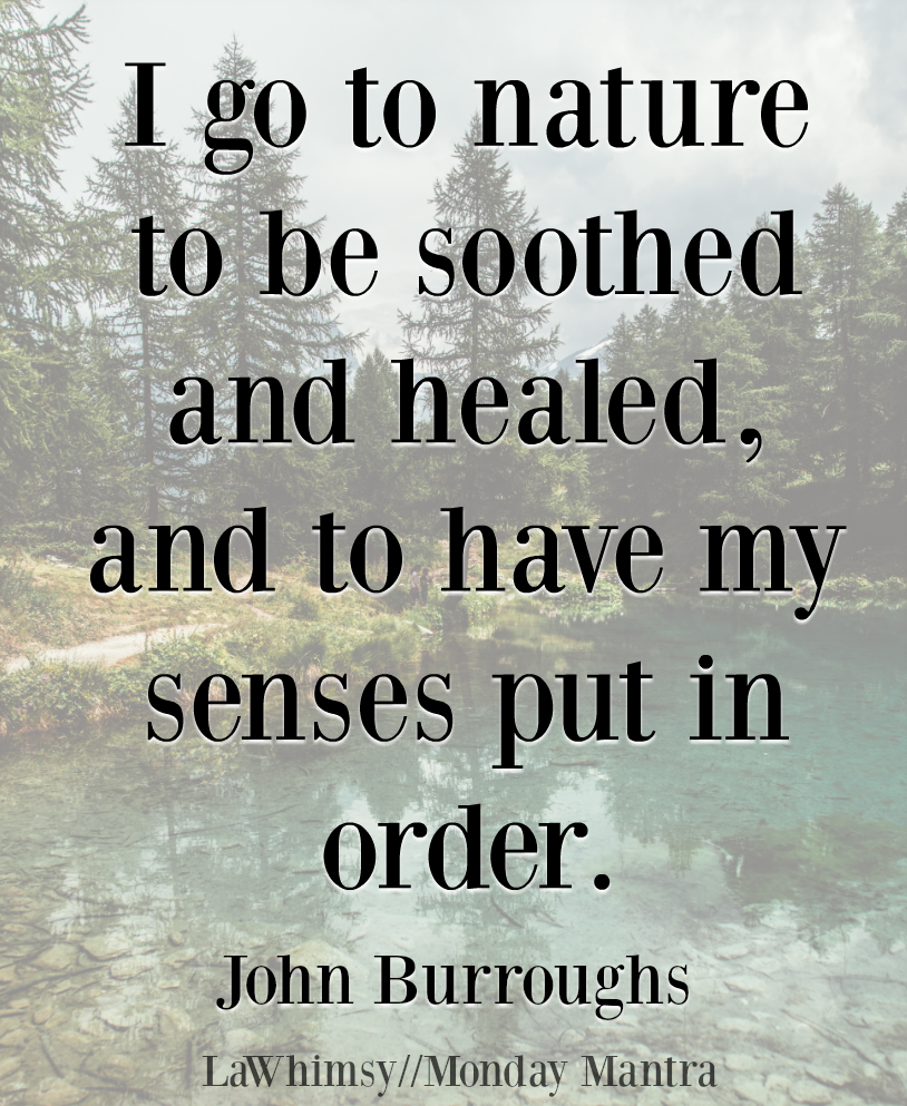 Affirmation Mondays 212 – I go to nature to be soothed and healed, and ...