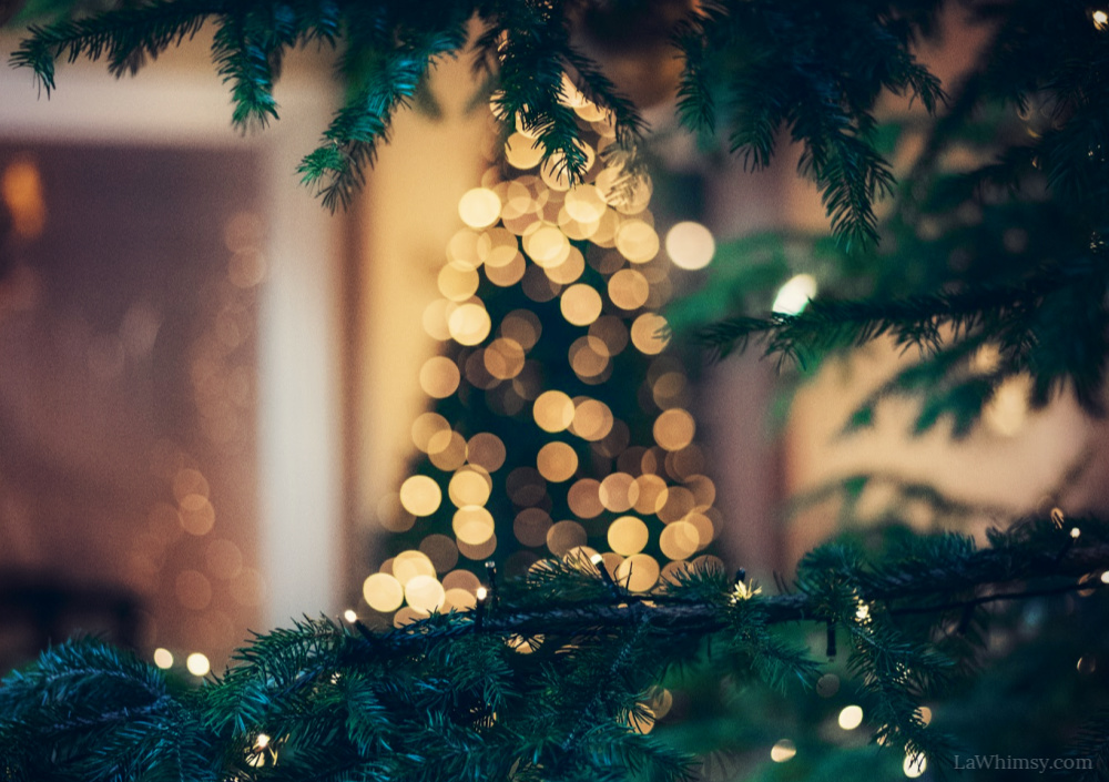 Word Nerd: Tannenbaum – Lawhimsy