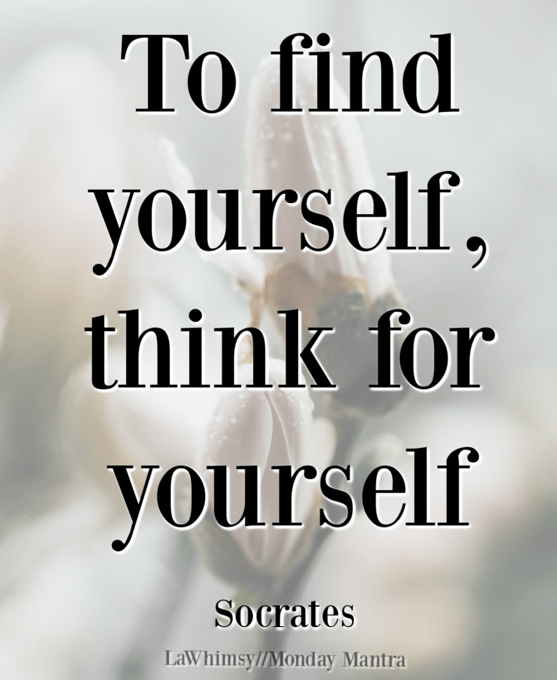 Affirmation Mondays 299 ~ To find yourself, think for yourself – Lawhimsy