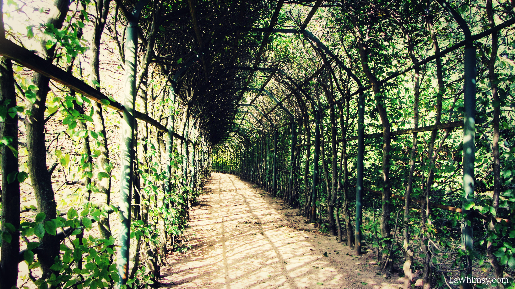 Word Nerd: Xyst – Lawhimsy