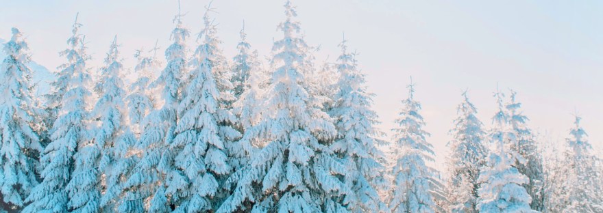 Word Nerd: Niveous – Lawhimsy