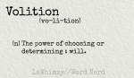 Word Nerd: Volition – Lawhimsy