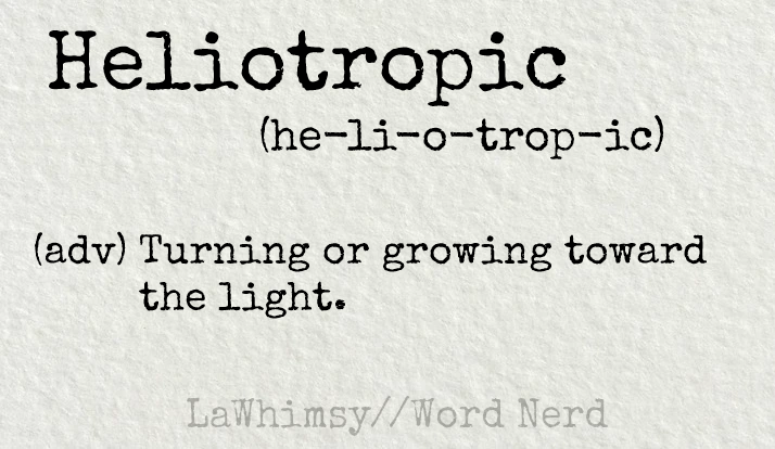 Word Nerd: Heliotropic – Lawhimsy